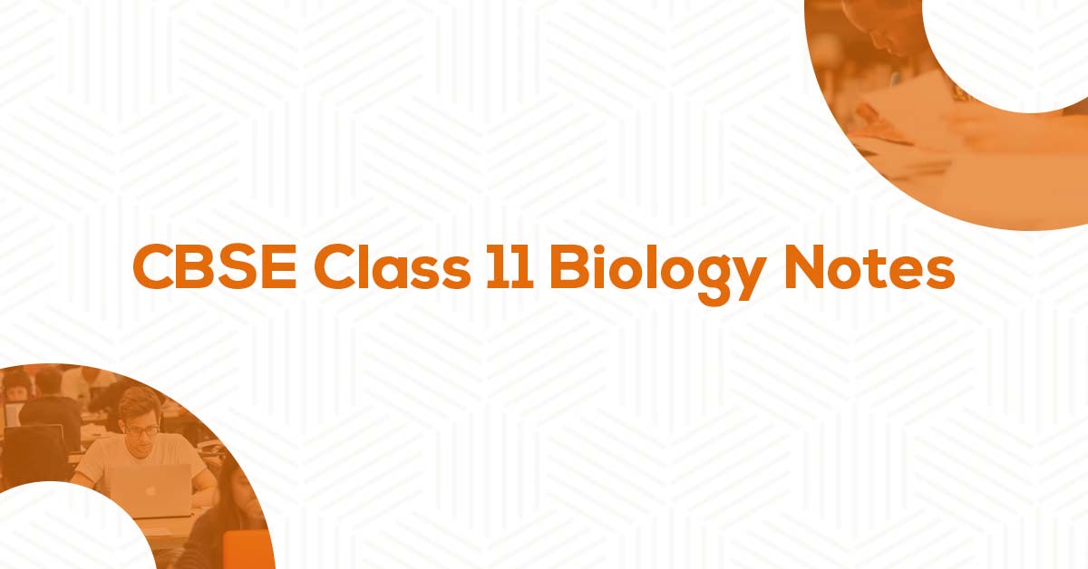 Download Class 11 Biology Notes PDF Vidyakul